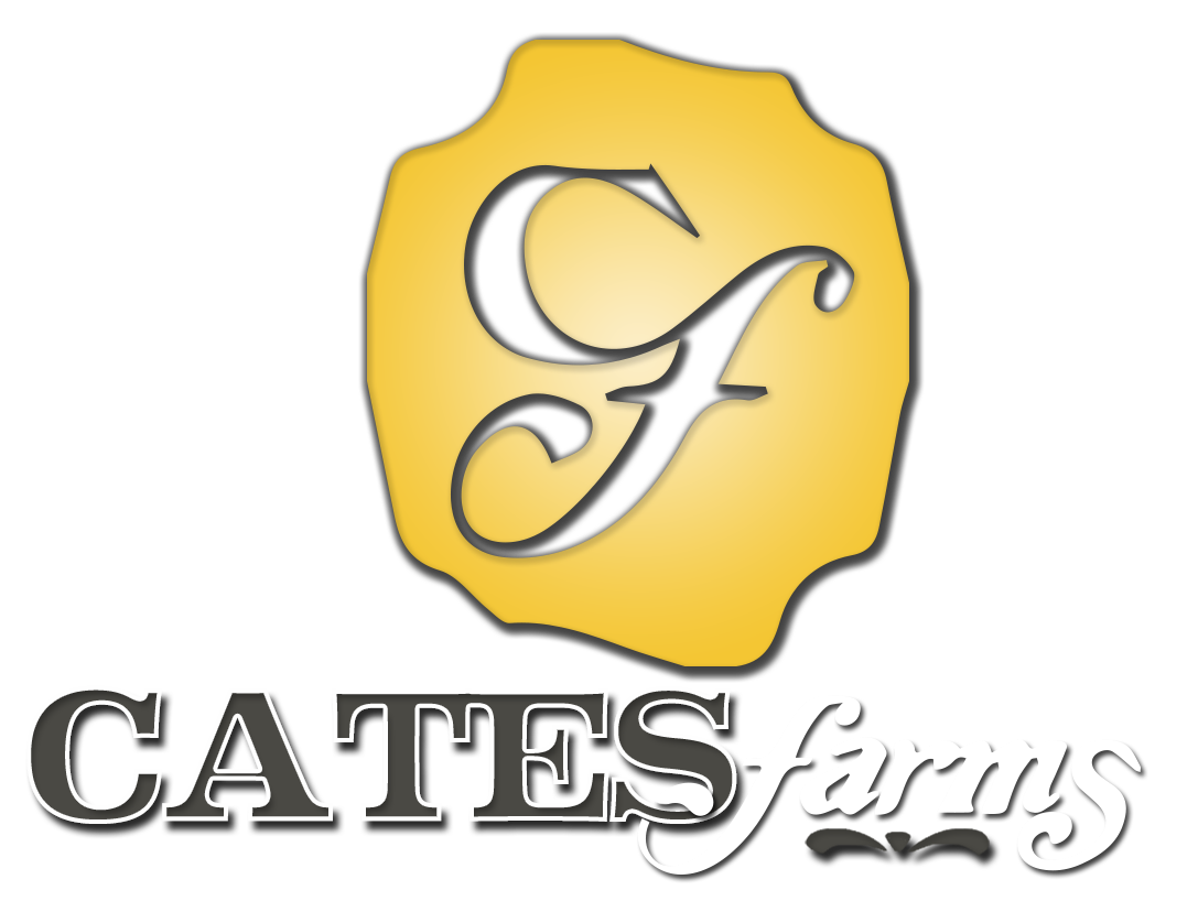 Home - Cates Farms - Shorthorn Cattle in Modoc, Indiana